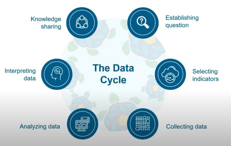 Decolonizing the Data Cycle - A Presentation for APHEO - Mamow Ahyamowen Alliance